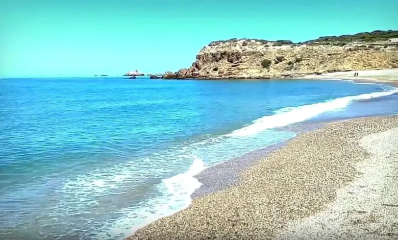 Top 5 des plages à Alger à ne pas manquer en 2025 : détente, sport et ...